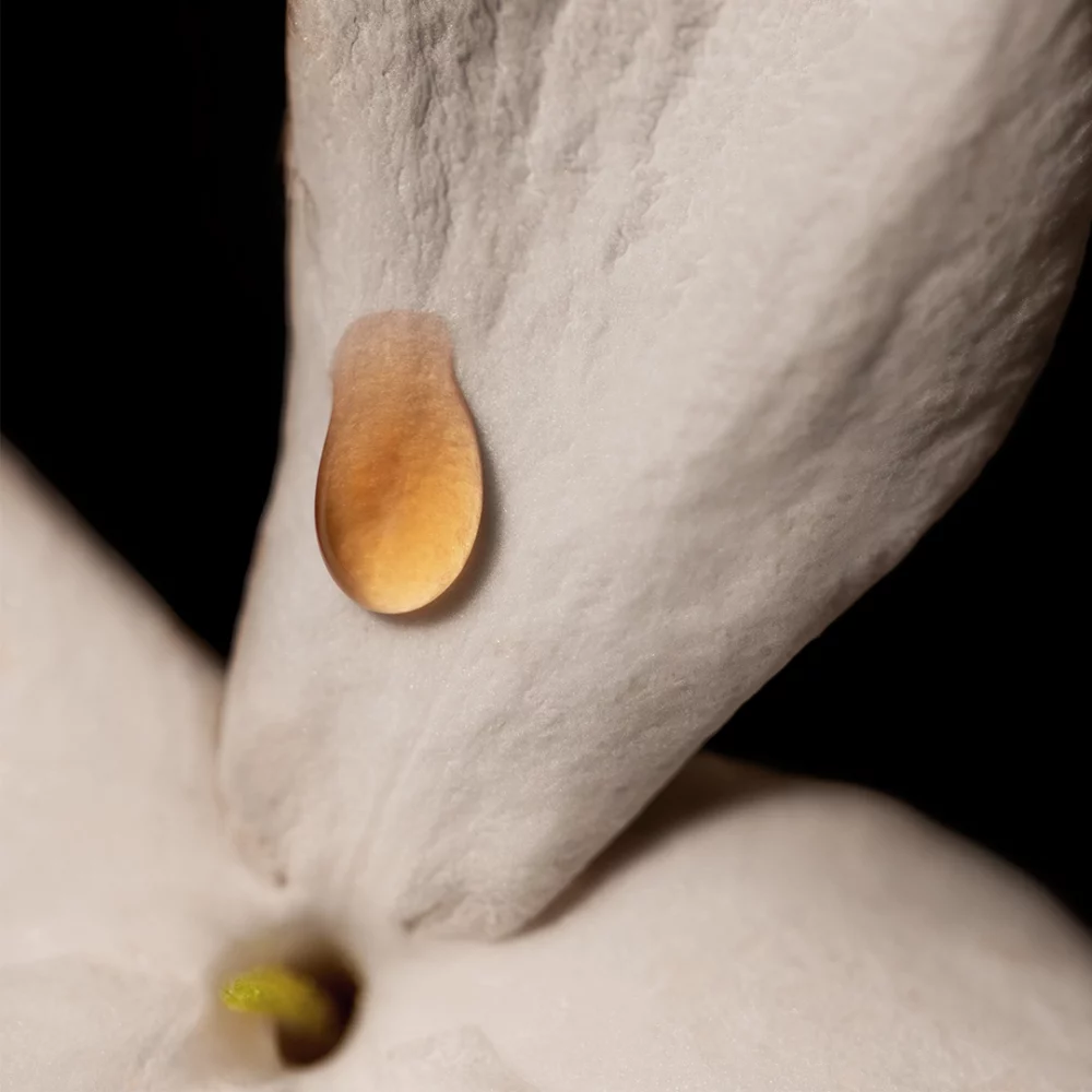 LE PURE High-Performance Organic Skincare